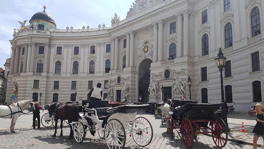 Musei di Vienna : le nostre visite al Belvedere, Hofburg e Schonbrunn